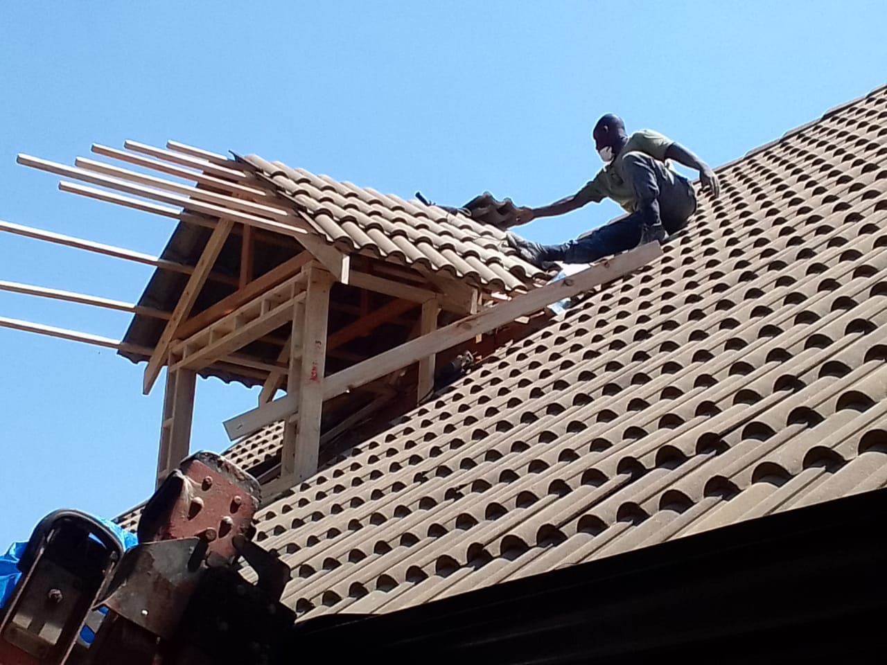 specialisedtimber.co.za